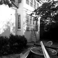 Small Arlington Garden | Caroline Ervin Landscape Design